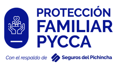 SEGUROS Y ASISTENCIAS - Club Pycca
